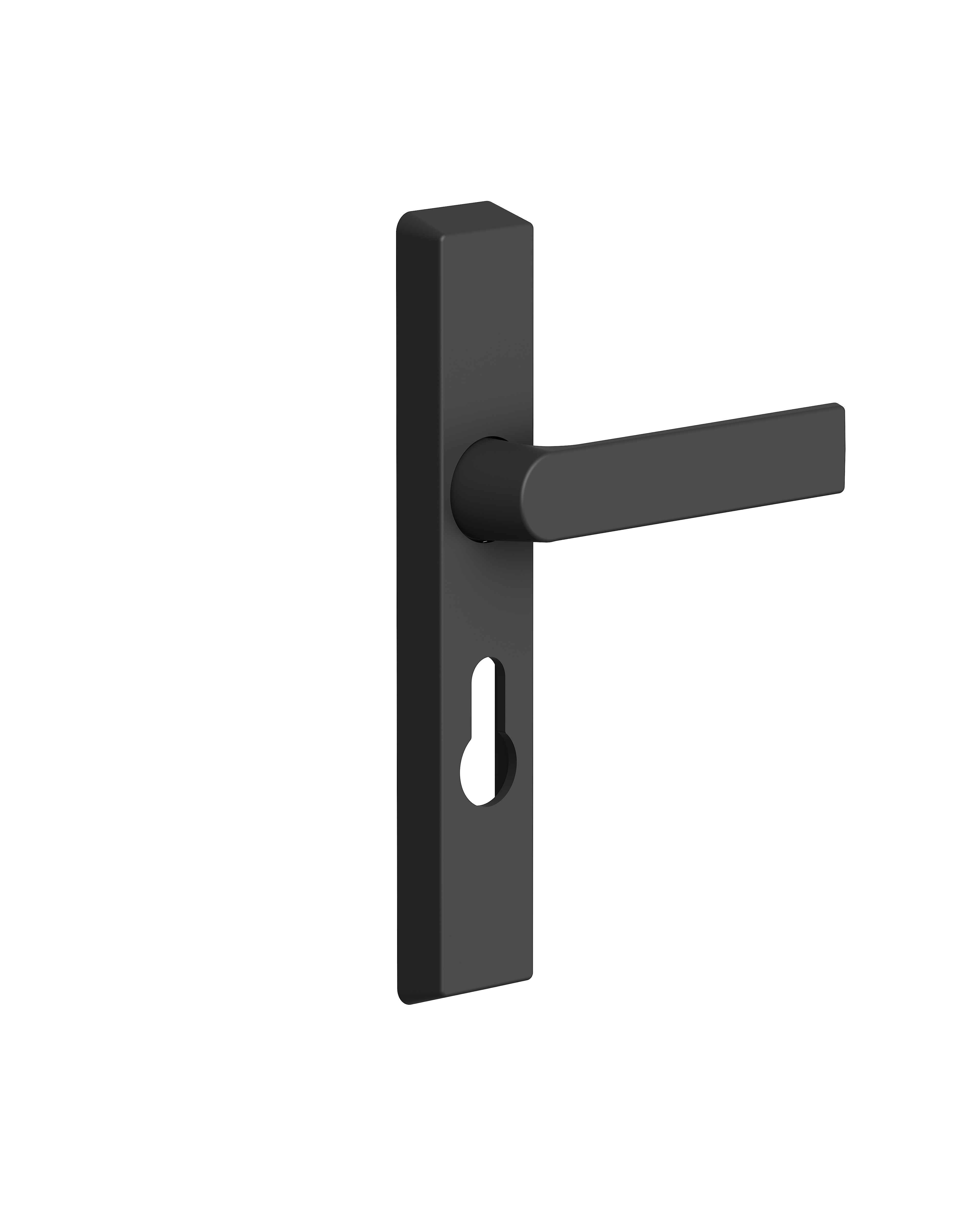 Forge Hinged Security Door Projection Bolt Lock
