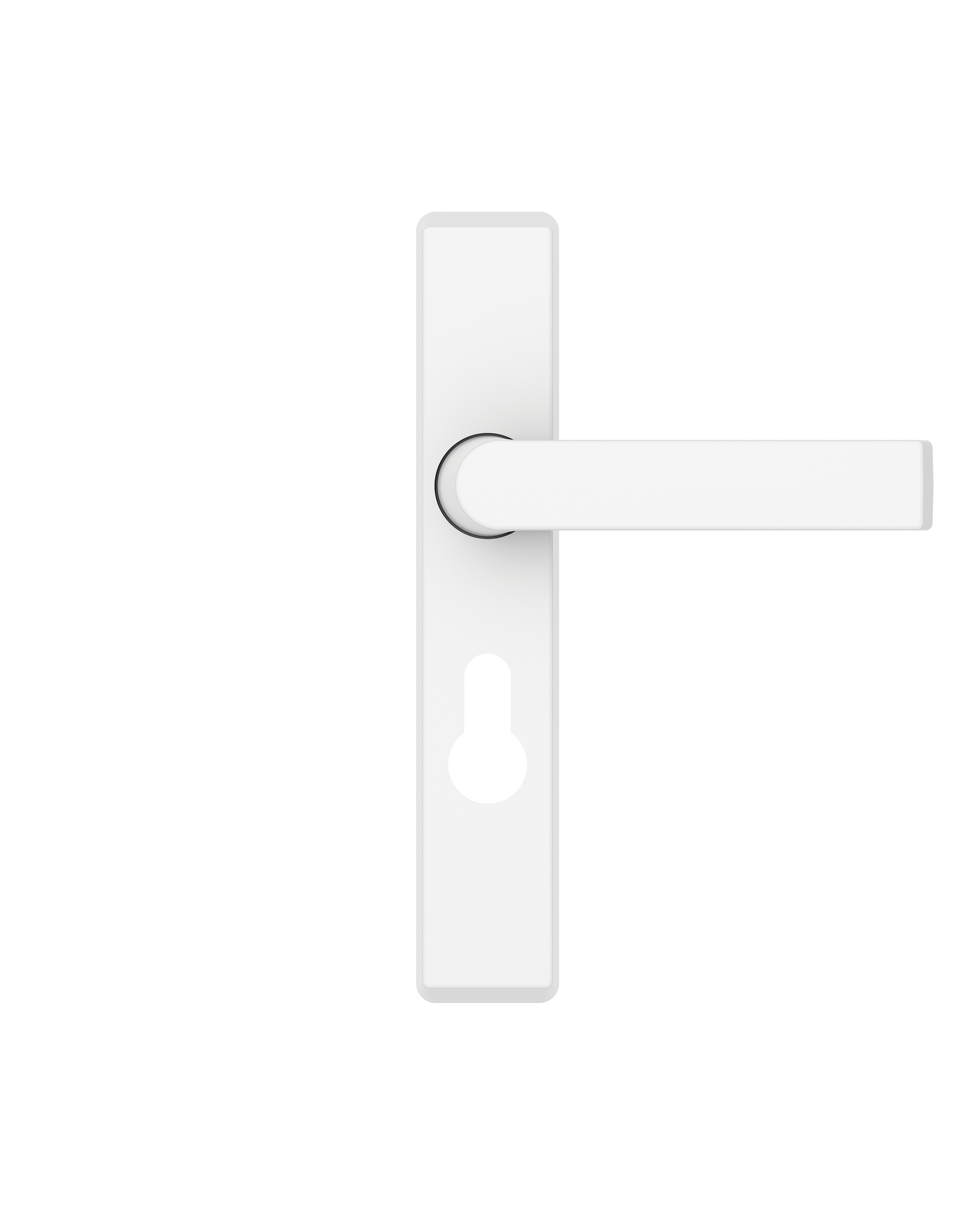 Forge Hinged Security Door Hook Bolt Lock