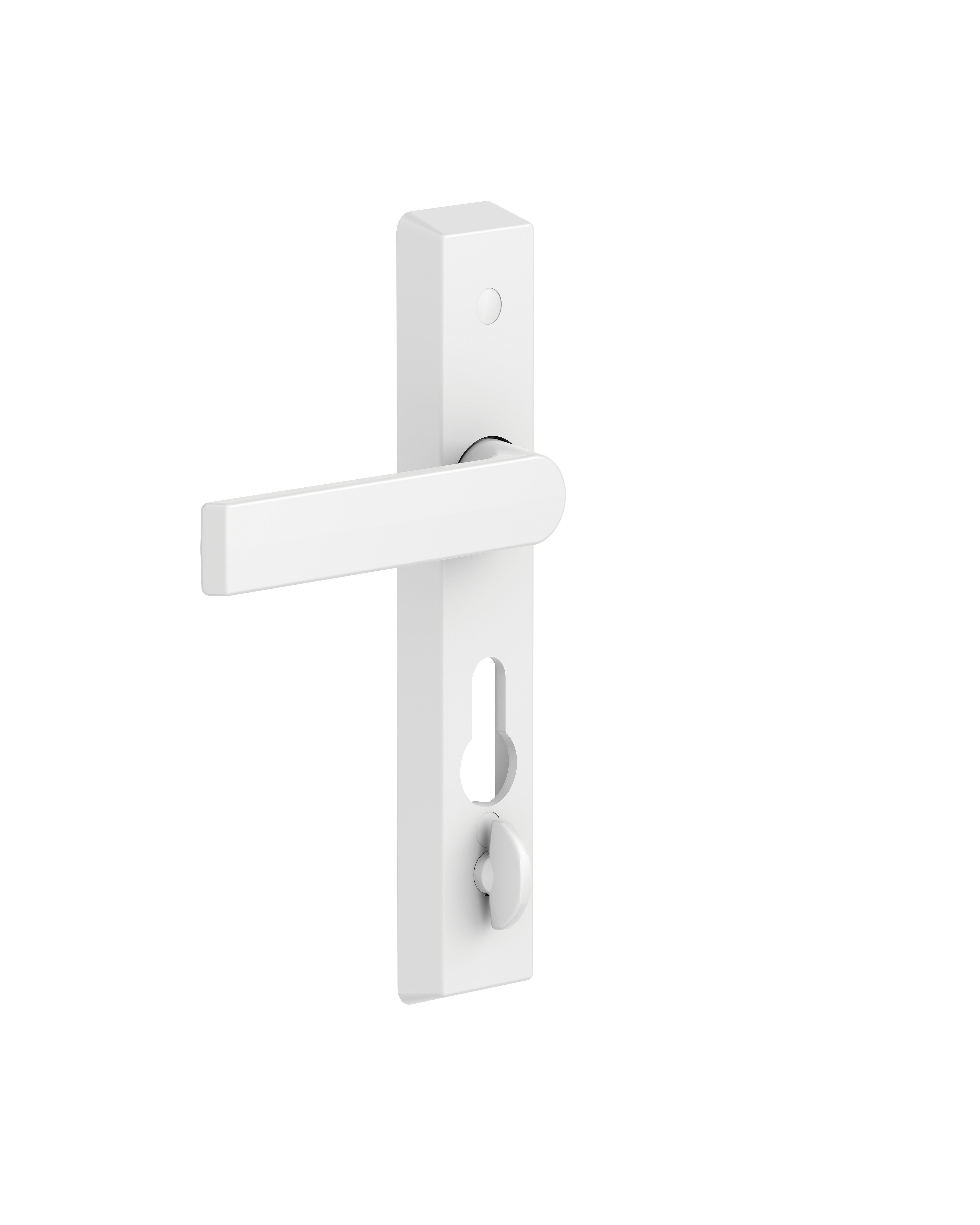 Forge Hinged Security Door Hook Bolt Lock