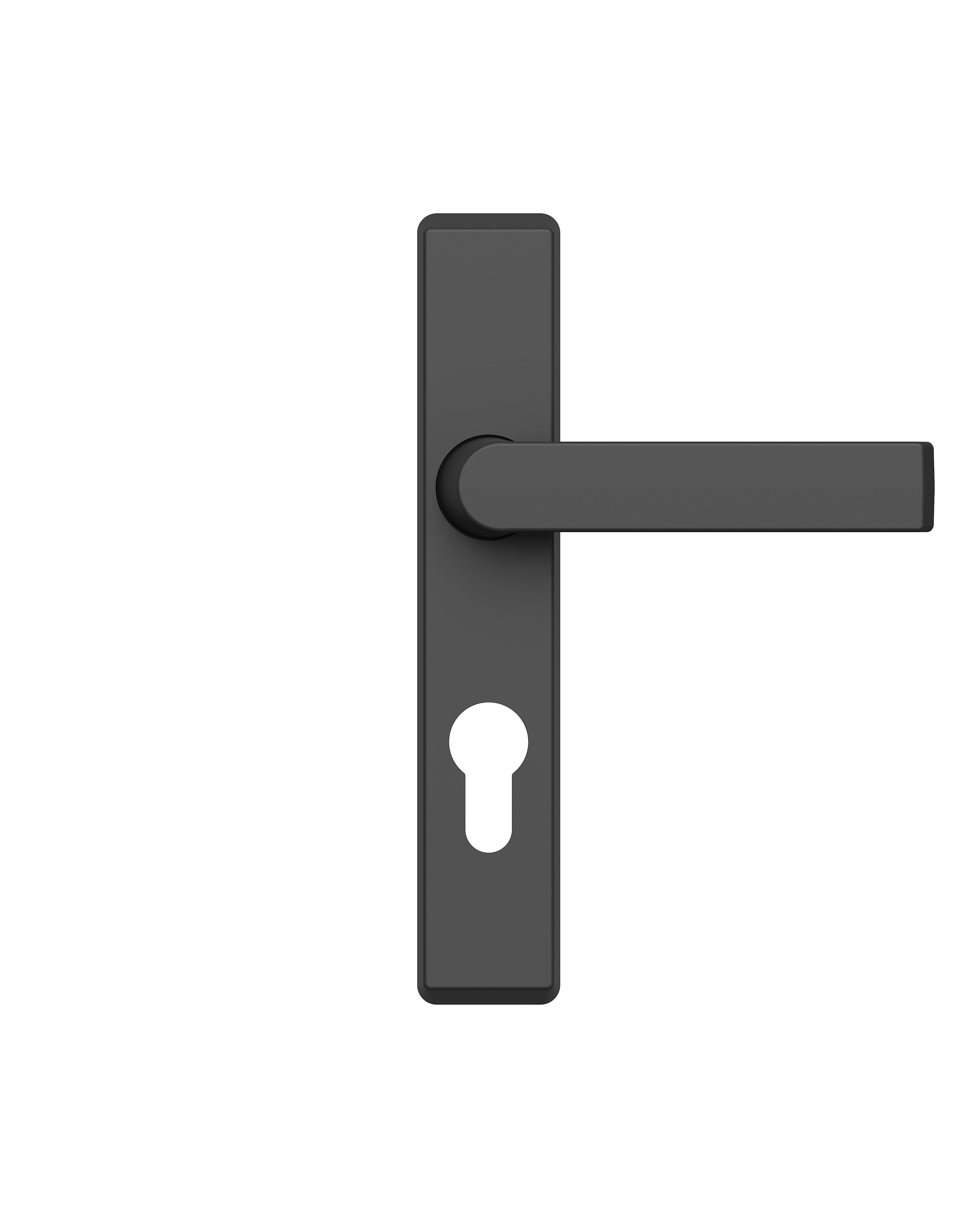 Forge Hinged Security Door Projection Bolt Lock