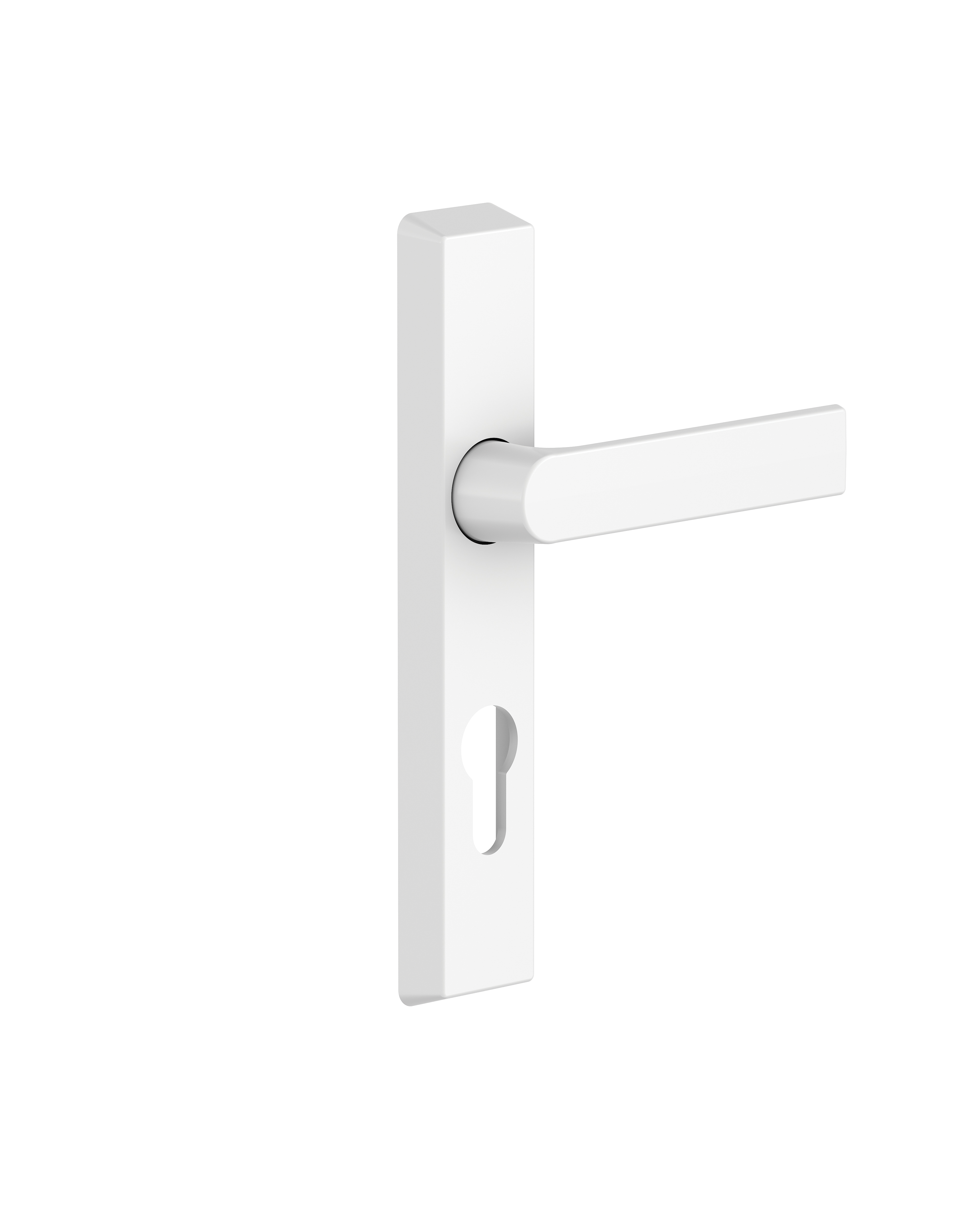 Forge Hinged Security Door Projection Bolt Lock