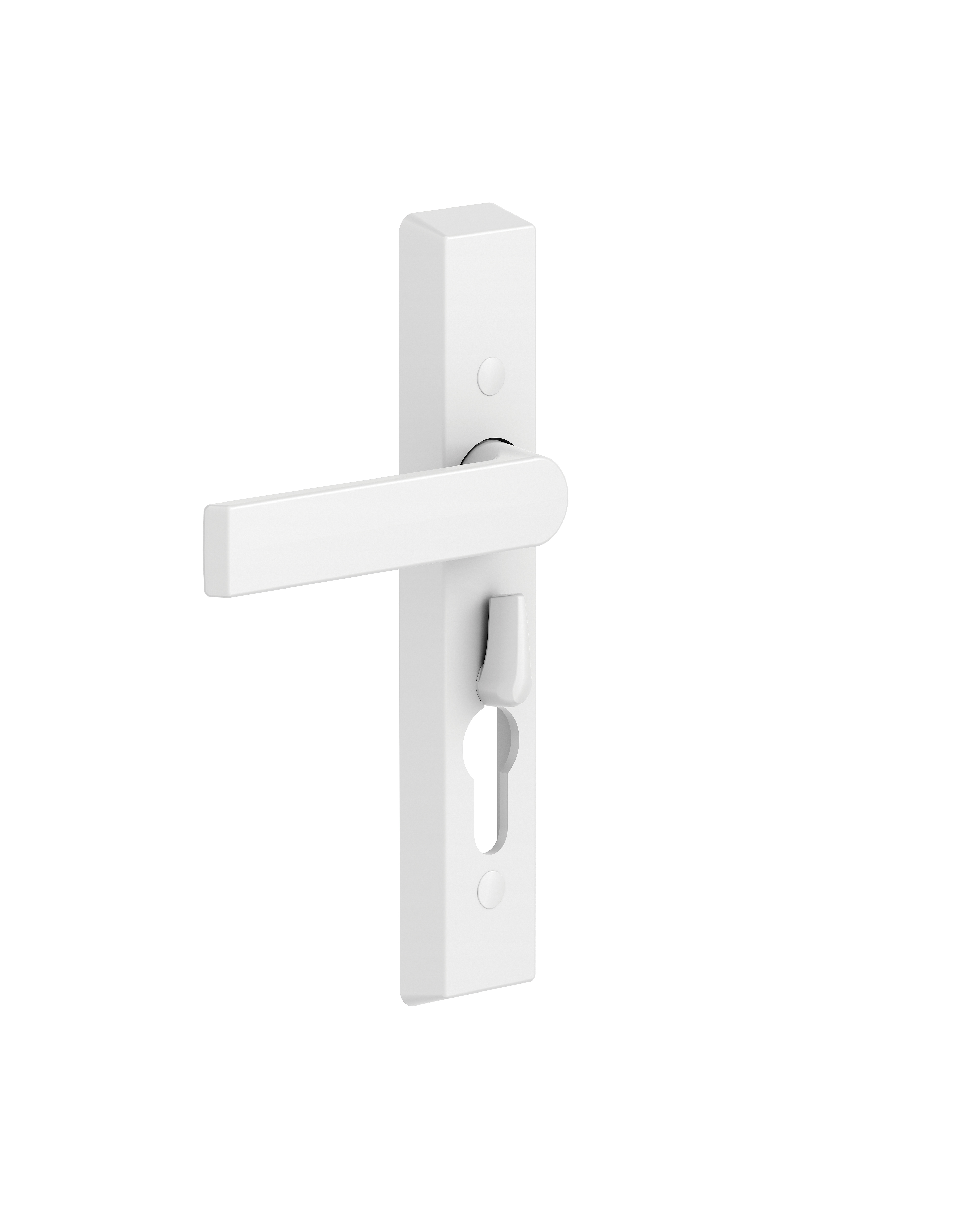 Forge Hinged Security Door Projection Bolt Lock