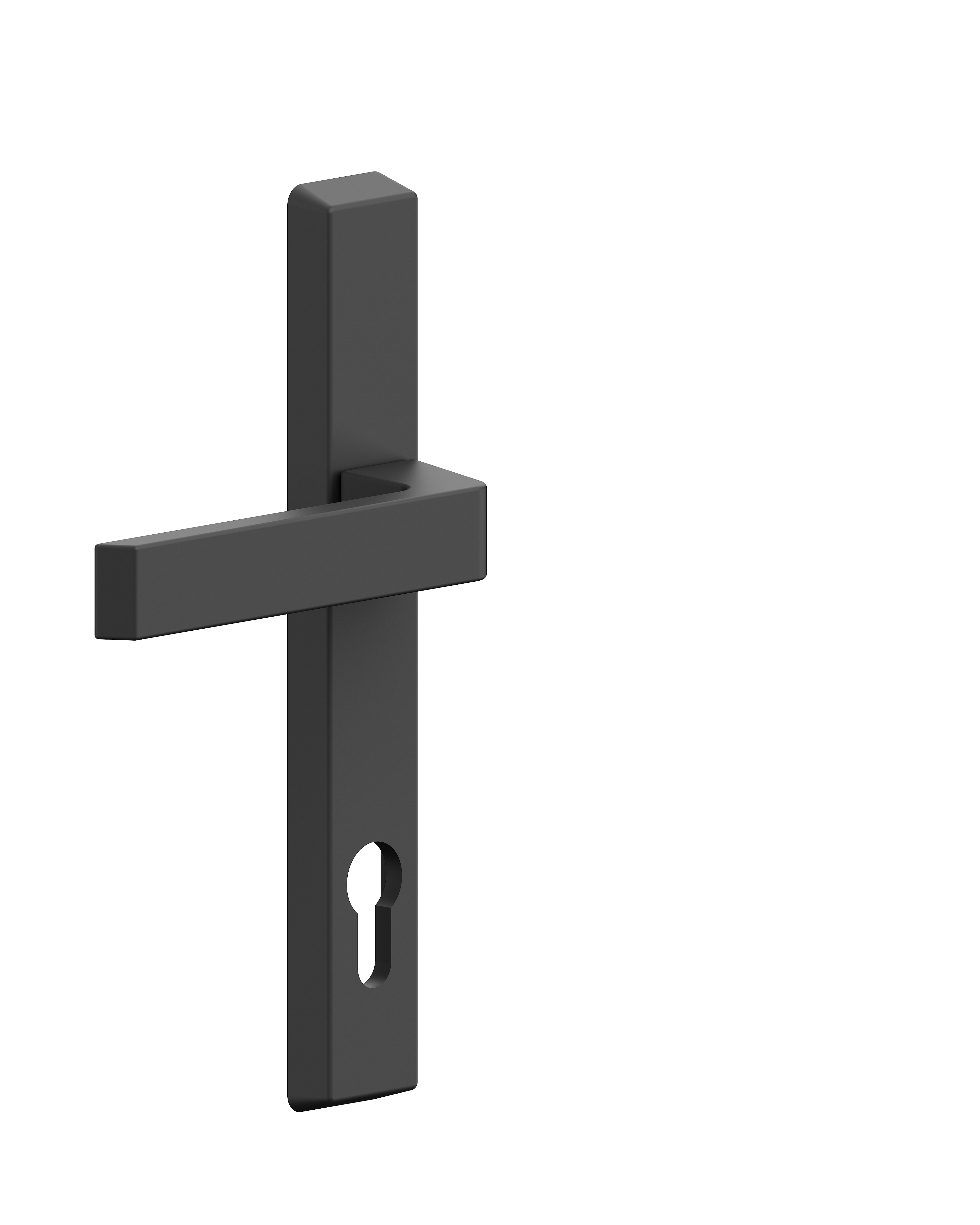 Austral Verta™ Hinged Door Mortice Lock